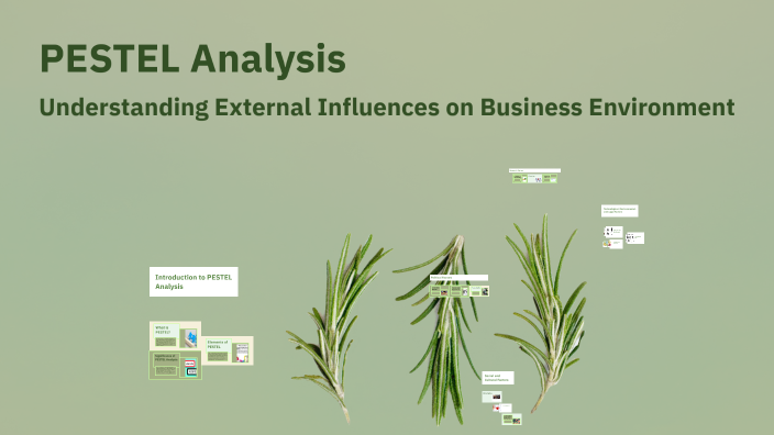 PESTEL Analysis by Полина Медведева on Prezi