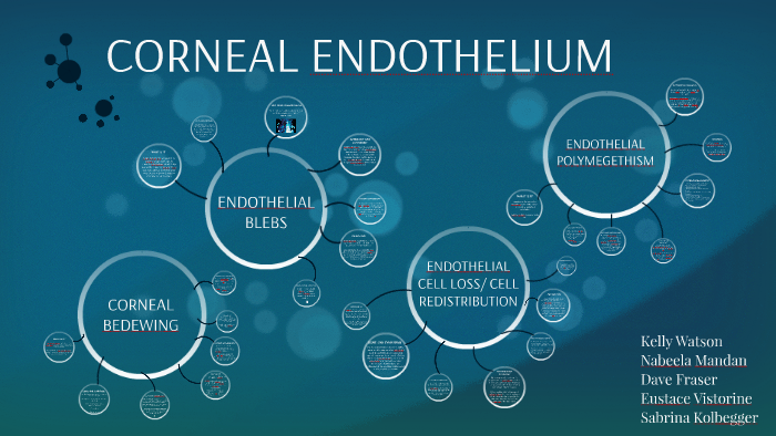 CORNEAL ENDOTHELIUM by Sabrina Kolbegger on Prezi
