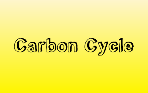 Carbon Cycle by Manya Gordon on Prezi