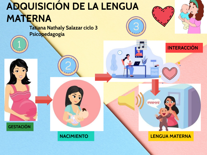 ADQUISICIÓN LENGUA MATERNA by Tatiana Nathaly Salazar Pin on Prezi