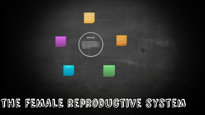 the reproductive system by Tiahna Sanderson on Prezi