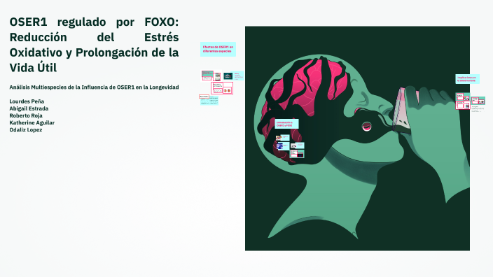 OSER1 regulado por FOXO: Reducción del Estrés Oxidativo y Prolongación ...