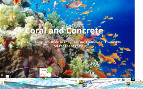 Coral and Concrete A Case Study of Biomimicry as an Endeavor by Manisha ...