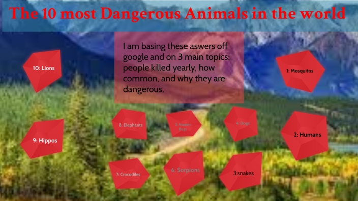 Top Ten most Dangerous animals by Hunter Peters on Prezi