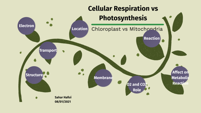 CR vs PS by sahar hafizi on Prezi