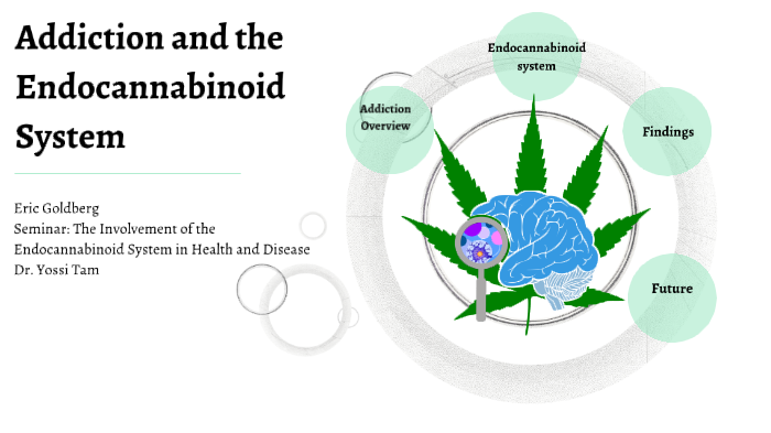 Addiction and the Endocannabinoid System by Eric Goldberg on Prezi