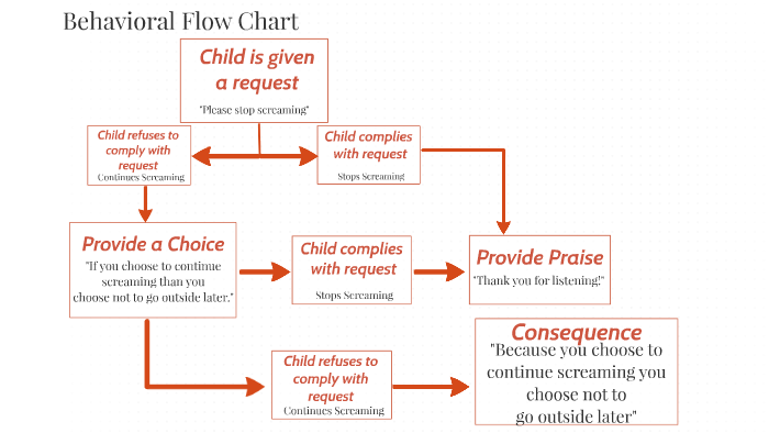 Behavioral Flow Chart by Hayley O'Brien on Prezi