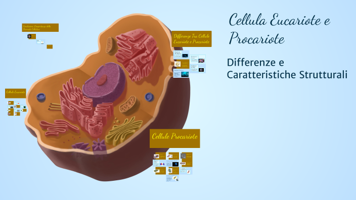 Cellula Eucariote e Procariote by Sara Maritato on Prezi