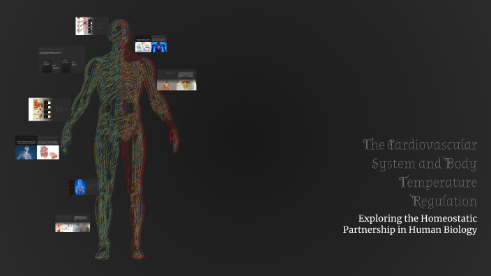 The Cardiovascular System and Body Temperature Regulation by Worth ...