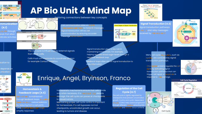 Unit 4 mind map AP Biology by Enrique Jimenez on Prezi