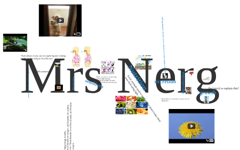 Mrs Nerg by jen kenny on Prezi