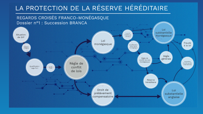 Soutenance Rapport DSN by Anthony D on Prezi