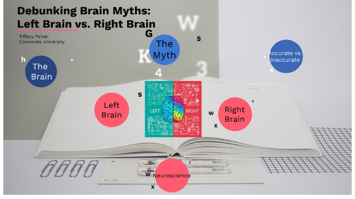 Debunking Brain Myths Left Brain Right Brain By Tiffany Folker On Prezi