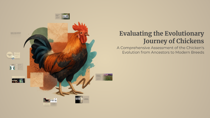 Evaluating the Evolutionary Journey of Chickens by Ansh Patel on Prezi