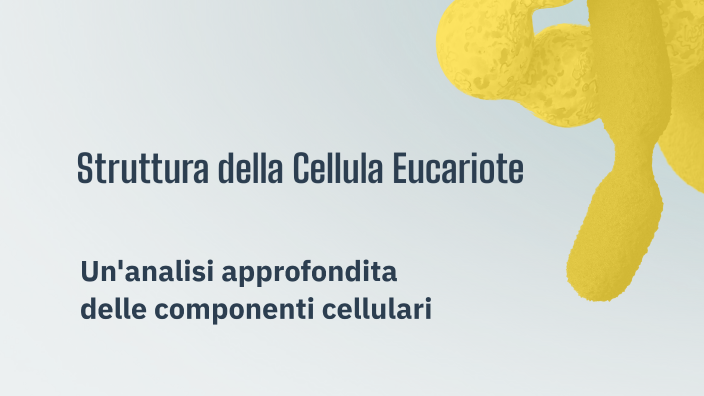 Struttura della Cellula Eucariote by ENRICA CAPONNETTO on Prezi