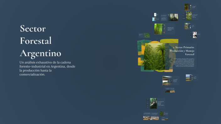 Sector Forestal Argentino by on Prezi