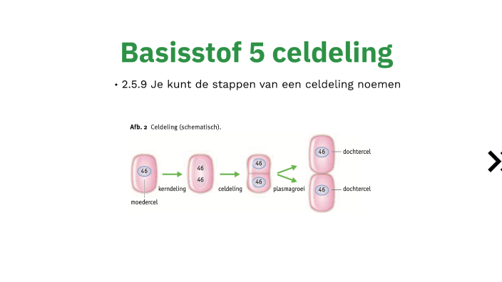 Basisstof 5 De celdeling by anouk kuiper on Prezi