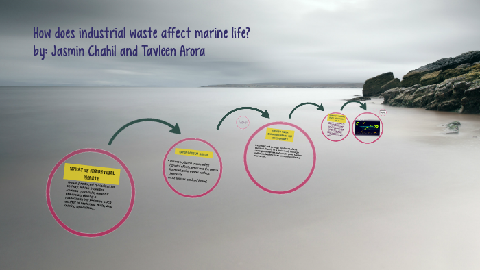 how do fertilizers affect marine life? by tavleen arora on Prezi