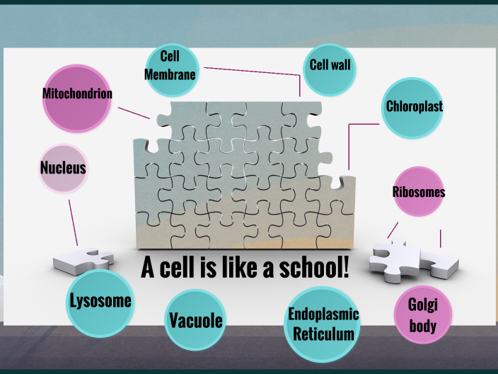 cell is like a school by Jazmine Cartonio on Prezi