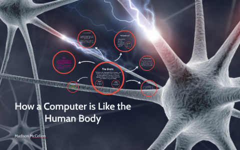 How a computer is like the human body by Madison McCellon on Prezi
