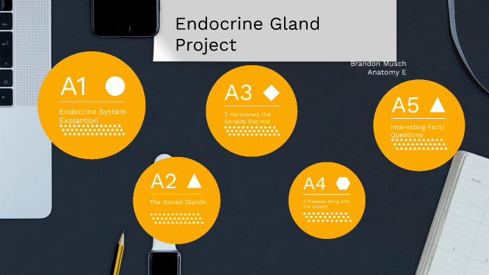 Endocrine Gland Project by Brandon Musch on Prezi