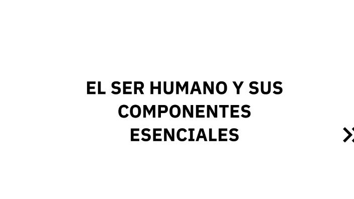 El Ser Humano Y Sus Componentes Esenciales By Estrella Padilla Perez On