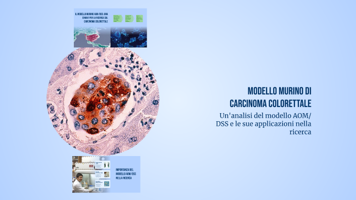 Modello Murino di Carcinoma Colorettale by Laura Bracci on Prezi