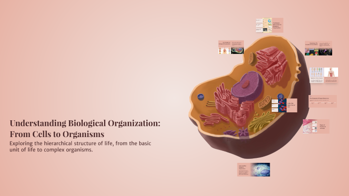 Understanding Biological Organization: From Cells to Organisms by ...