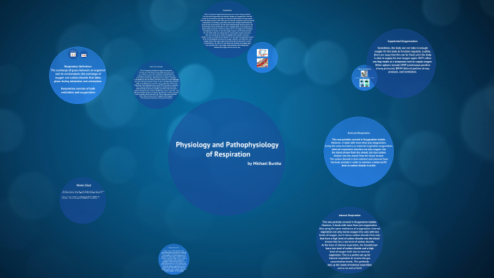 Physiology and Pathophysiology of Respiration by Ian Bursha on Prezi