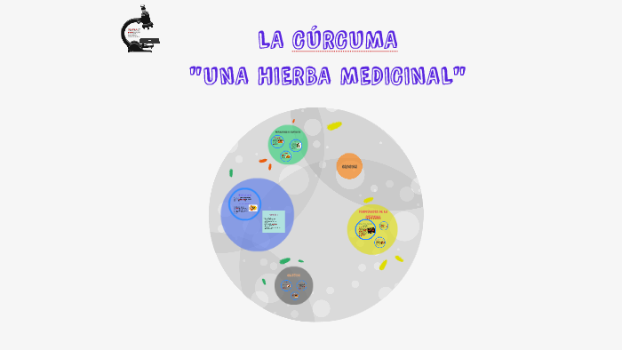 LA CURCUMA UNA HIERBA MEDICINAL by franchesca delgado linguani