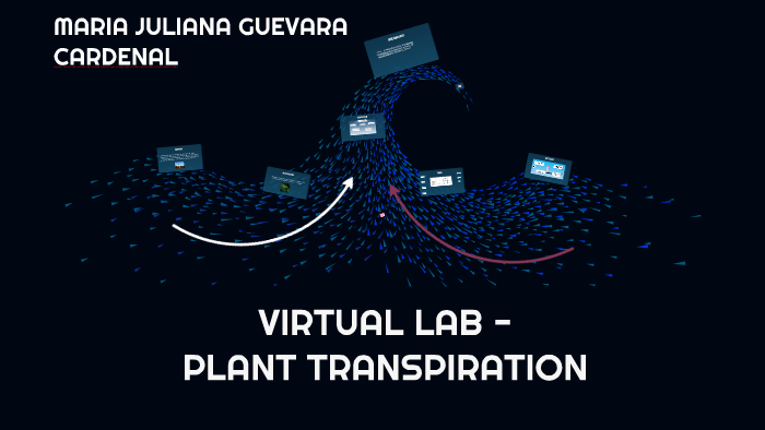 virtual lab - plant transpiration by maria juliana guevara cardenal on ...