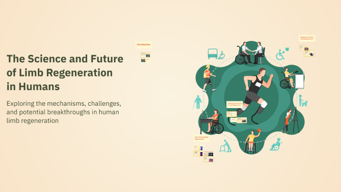 The Science and Future of Limb Regeneration in Humans by chaimae ...