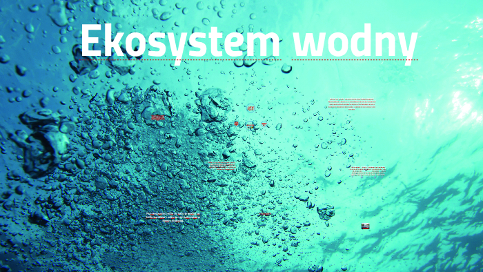 Ekosystem wodny by Emilia Paczkowska on Prezi