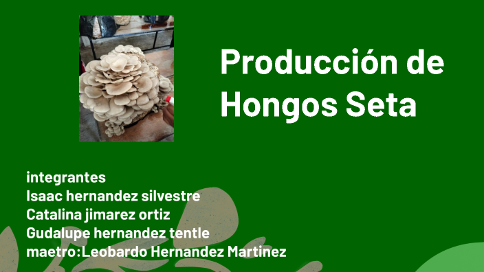 Producción de Hongos Zeta by gonzalo montiel ortiz on Prezi