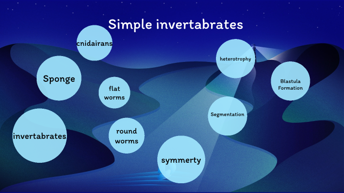 simple invertebrates by dacia boothman on Prezi