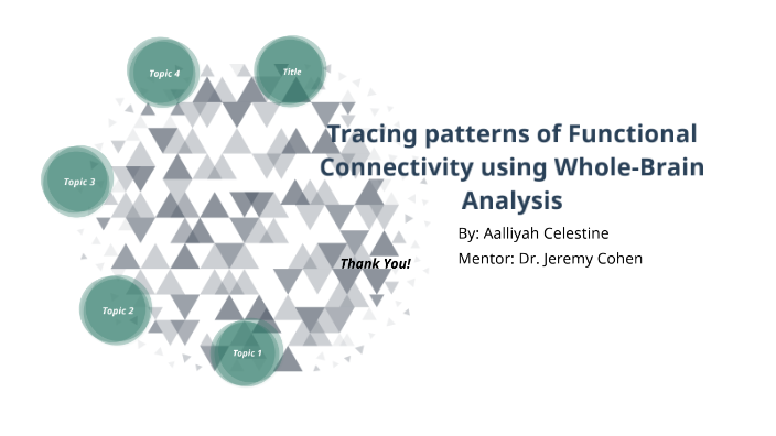 Tracing patterns of Functional Connectivity using Whole-brain Analysis ...