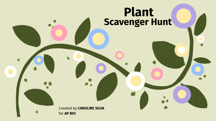 Plant Scavenger Hunt by Caroline Silva on Prezi