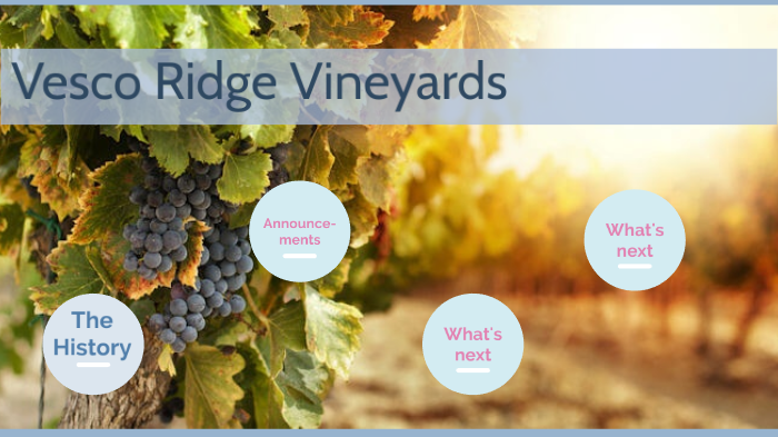 Vesco Ridge Vineyards by stacey ambler on Prezi