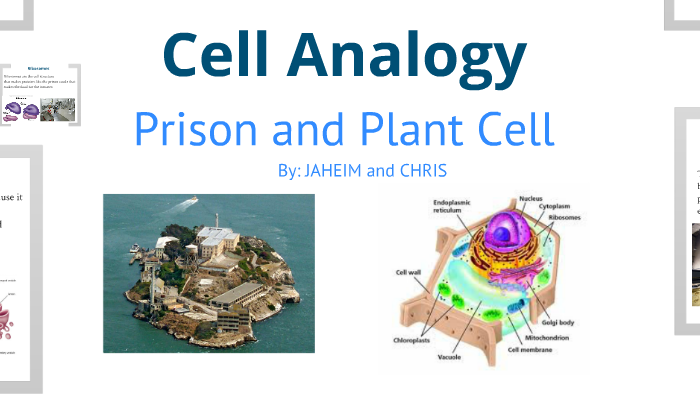 Chris and Jaheim Prison Cell Analogy by Christopher Pytlik on Prezi