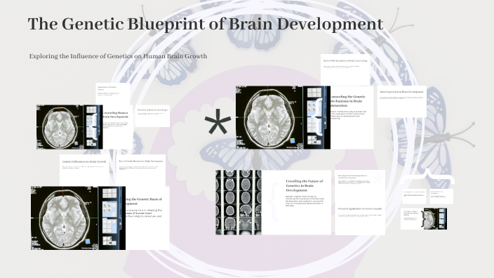 The Genetic Blueprint of Brain Development by Deniz Dilek on Prezi