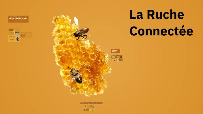 La Ruche Connectée by Kerane Decourtet on Prezi