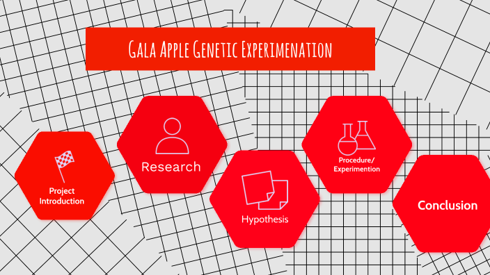 Gala Apple Genetic Experimentation by Kim Thach on Prezi