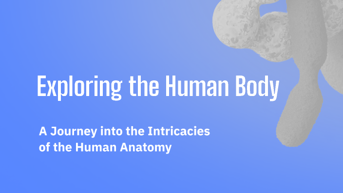 Exploring the Human Body by JAGRUTI MAKAM on Prezi