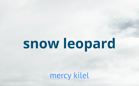 snow leopard by mercy kilel