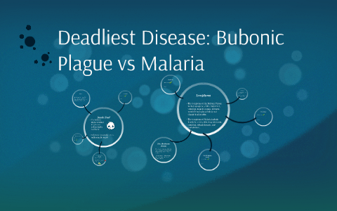 Deadliest Disease: Bubonic Plague vs Malaria by Hailey nix on Prezi