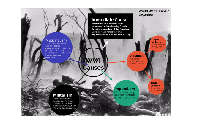 WW1 Graphic Organizer by david moorman