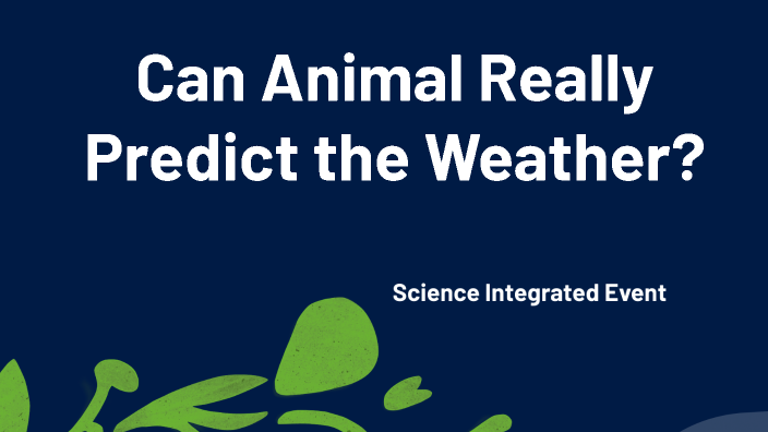 Can Animals Really Predict the Weather? by Ginnie Postlethwaite on Prezi