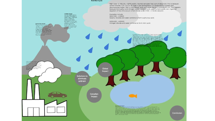 Acid Rain Project by Jade Forrest