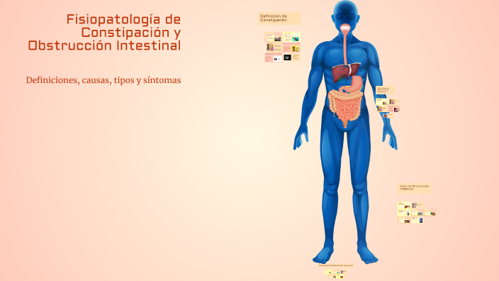 Fisiopatología de Constipación y Obstrucción Intestinal by Fragoso ...