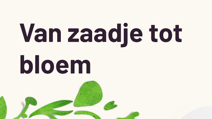 Van Zaadje Tot Bloem by Ine Staelens on Prezi